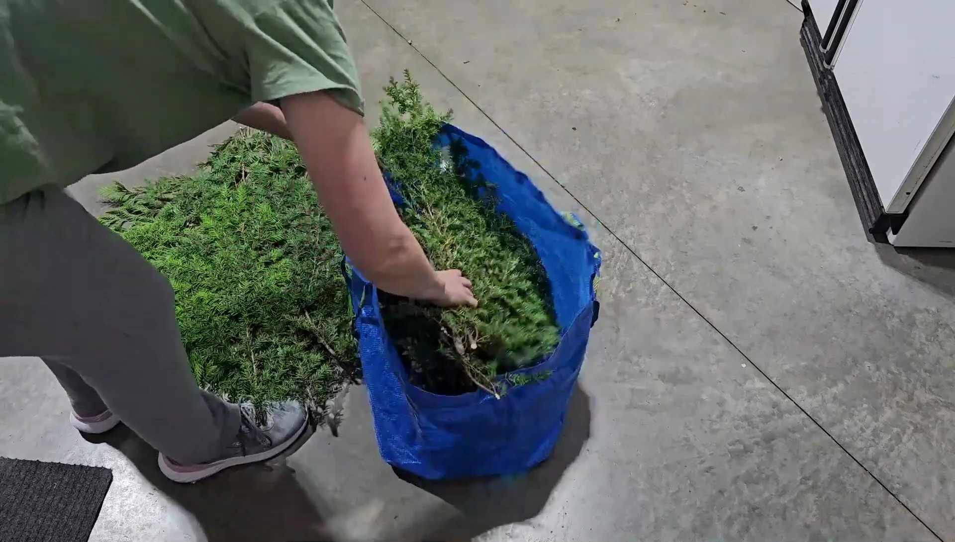 Preserving Foraged Nature Crafts: The Ultimate Guide