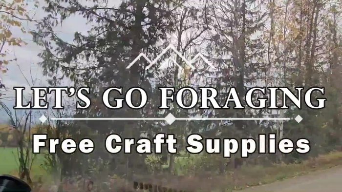 Preserving Foraged Nature Crafts: The Ultimate Guide